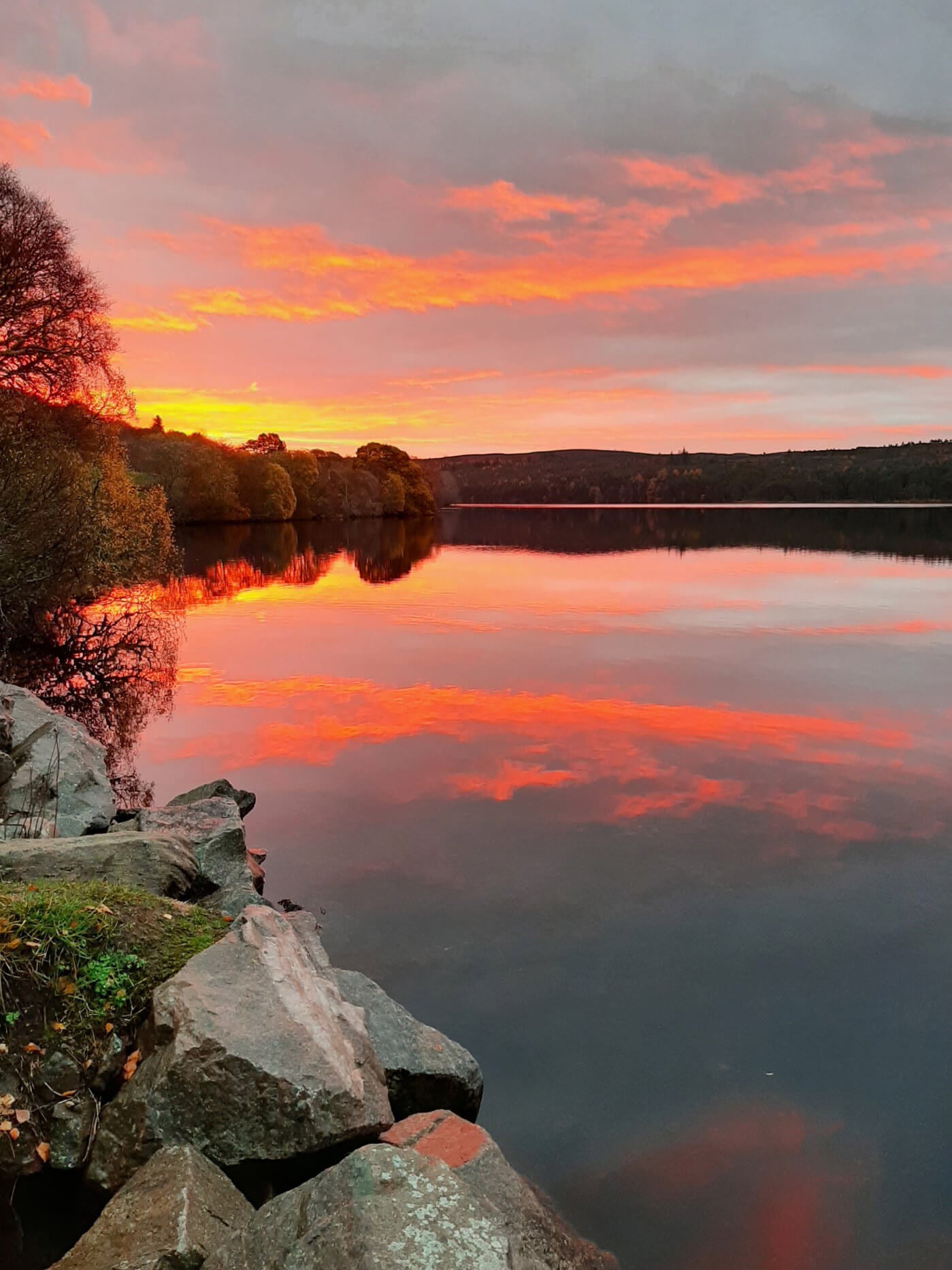 Gledfield Distillery